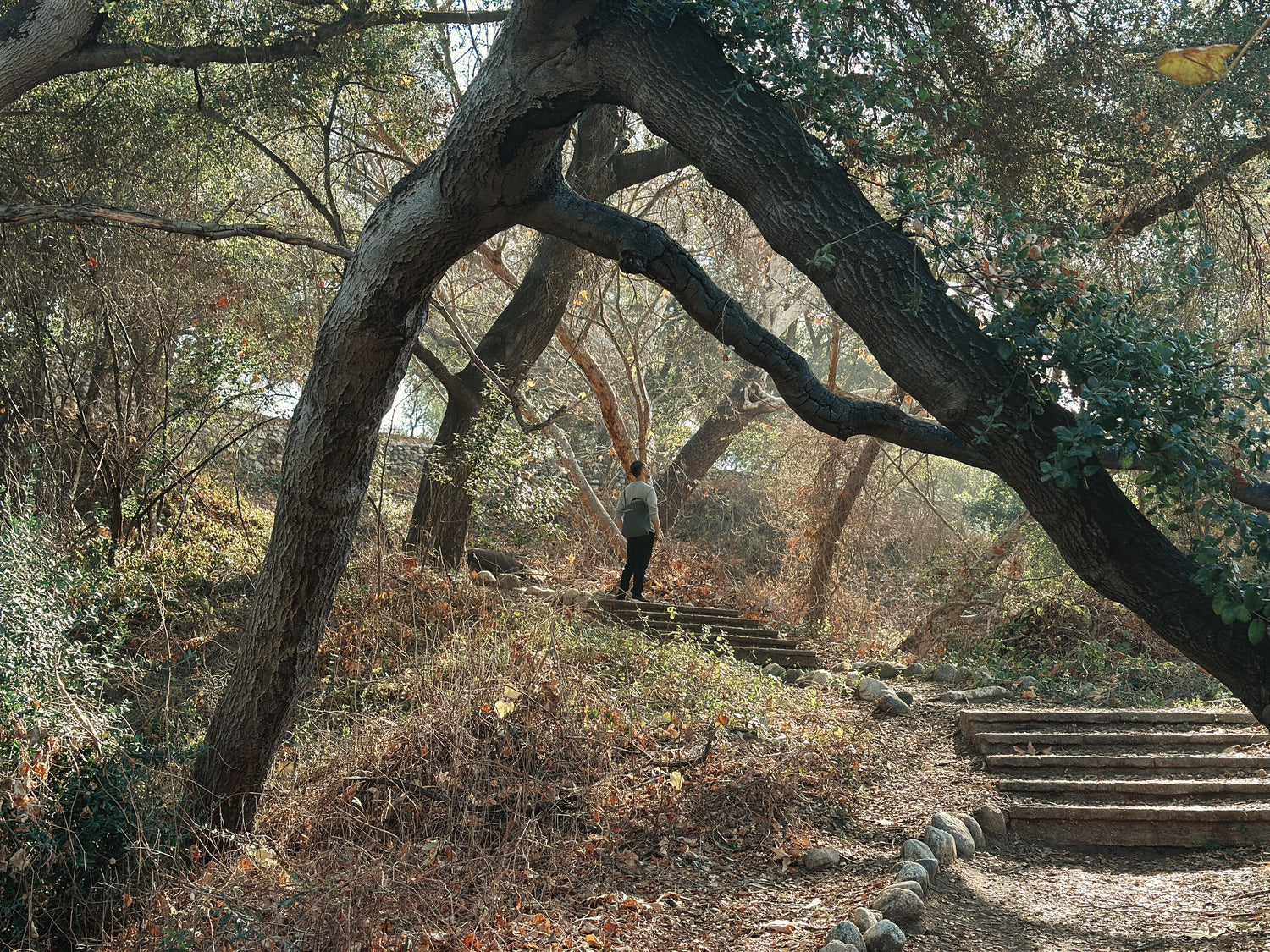 8 Basic Drawing Skills Every Artist Needs Mimochai